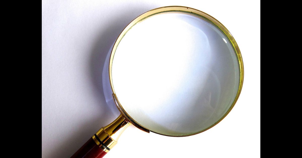 Gov. DeSantis Reassigns Fraud Investigation Case - Florida Daily